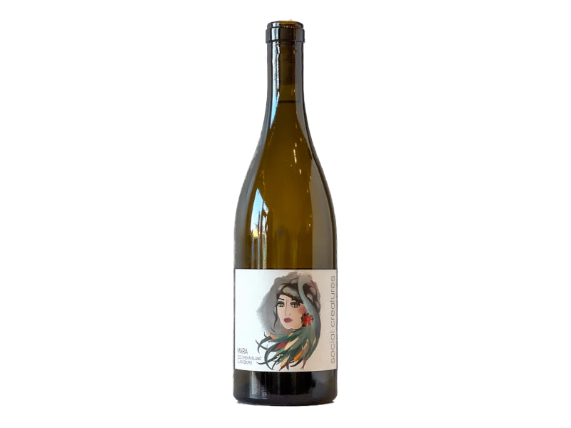 Social Creatures Mara Chenin Blanc Clarksburg 2022 – Symbolic Wines®